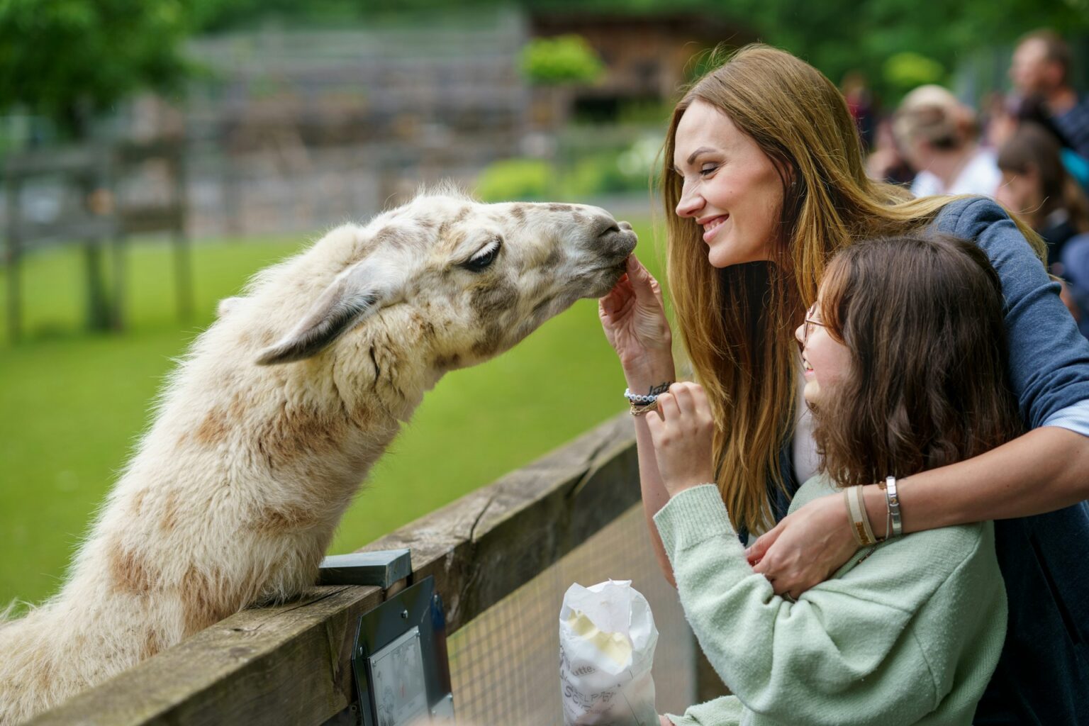 Should Zoos Cease to Exist? 10 Things to Seriously Consider – The ...