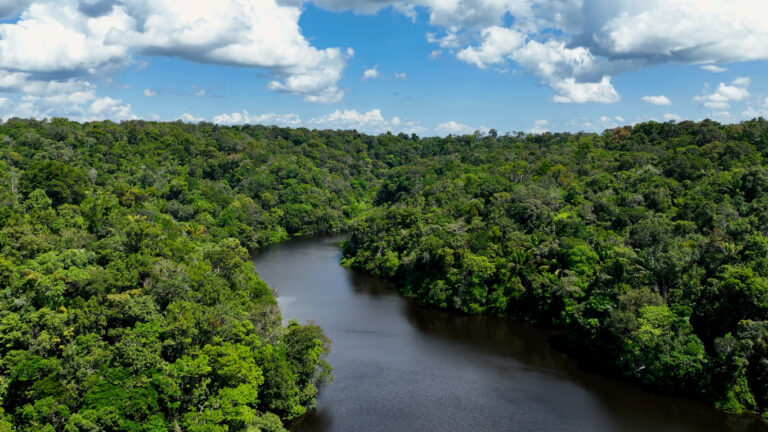 Wild Places Where Nature Has Remained Untouched by Humans – The Nature ...