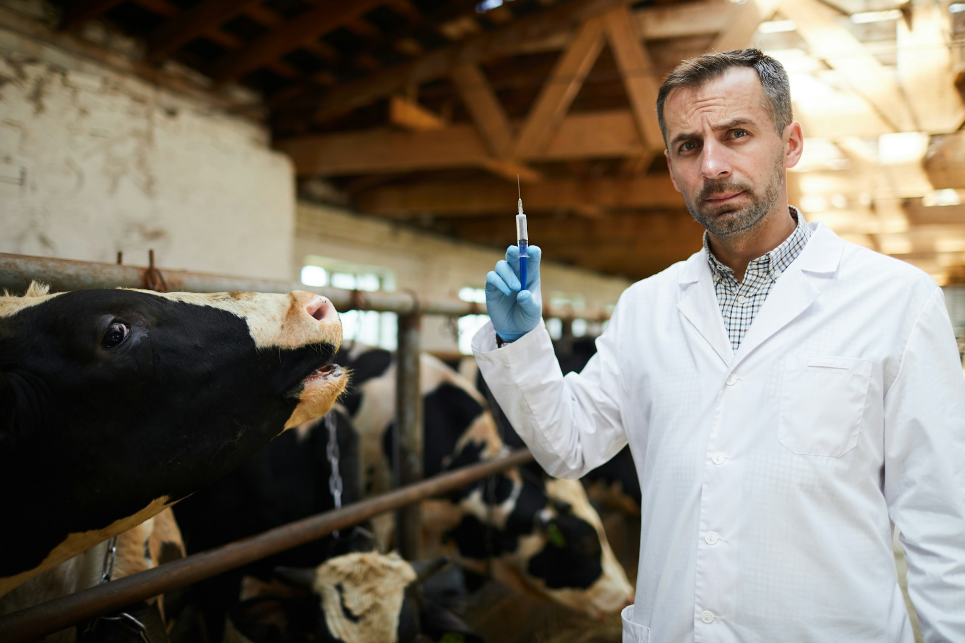 The Truth About Factory Farming And Its Effect On The Environment – The ...