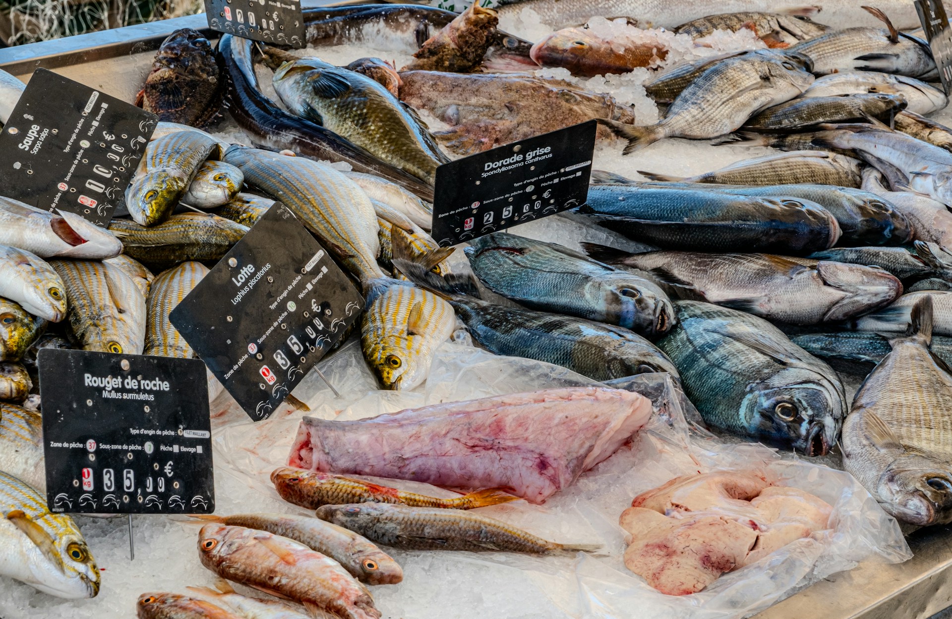 10 Simple Ways You Can Help Protect The Oceans – The Nature Network