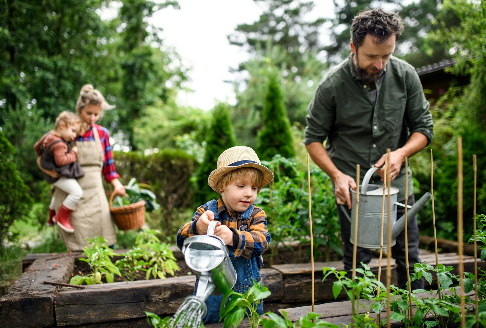 How Community Allotments Are Helping People And Nature Thrive Together ...