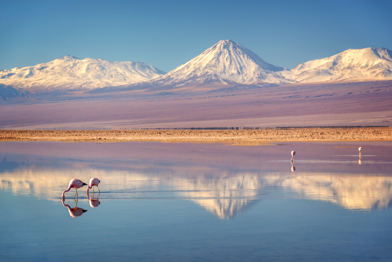 Biodiversity Hotspots Around The World That You Should Know About – The ...