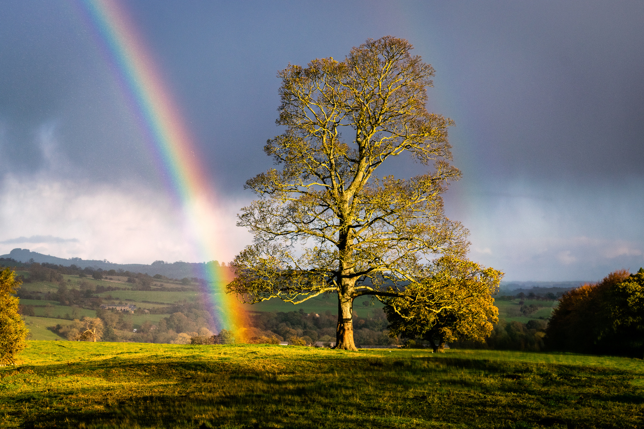 Why Do We See Rainbows After Rain? – The Nature Network