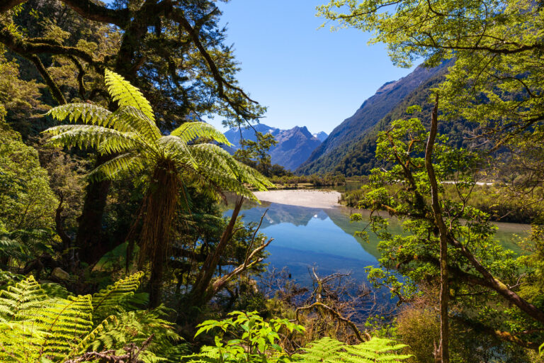 Biodiversity Hotspots Around The World That You Should Know About – The ...