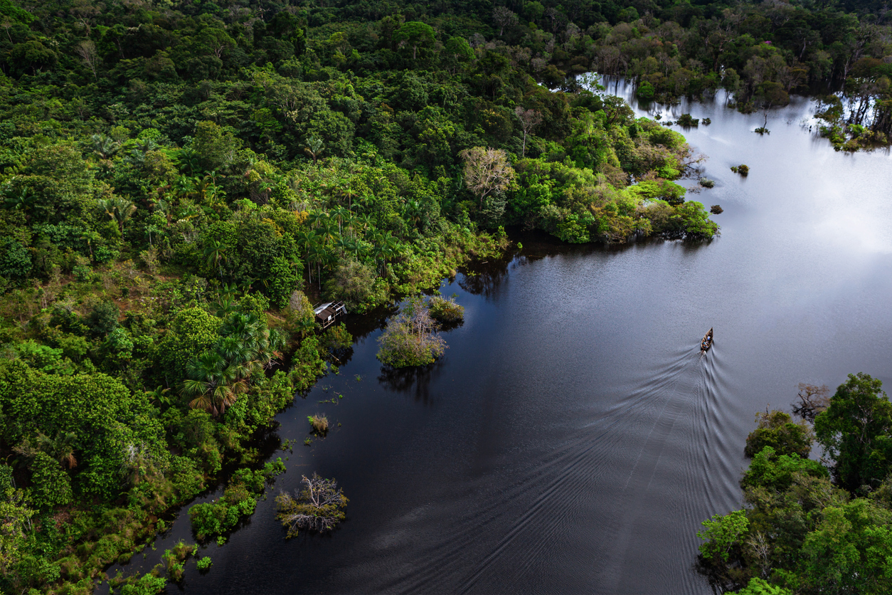 Why River Connectivity Matters More Than Most People Realise – The ...