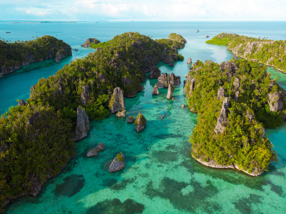 Biodiversity Hotspots Around The World That You Should Know About – The ...