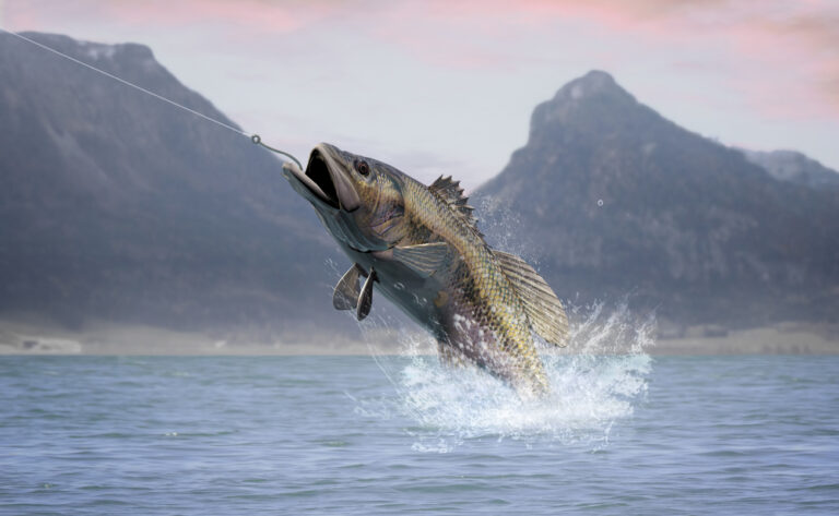 Do Fish Actually Feel Pain When They Get Hooked? – The Nature Network