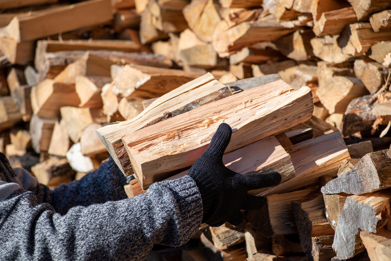 Can You Legally Collect Firewood In The UK? Here’s What To Know – The ...