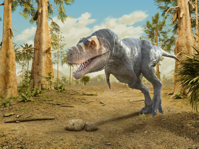 Was T-Rex Really The Fiercest Dinosaur, Or Just The Most Famous? – The ...