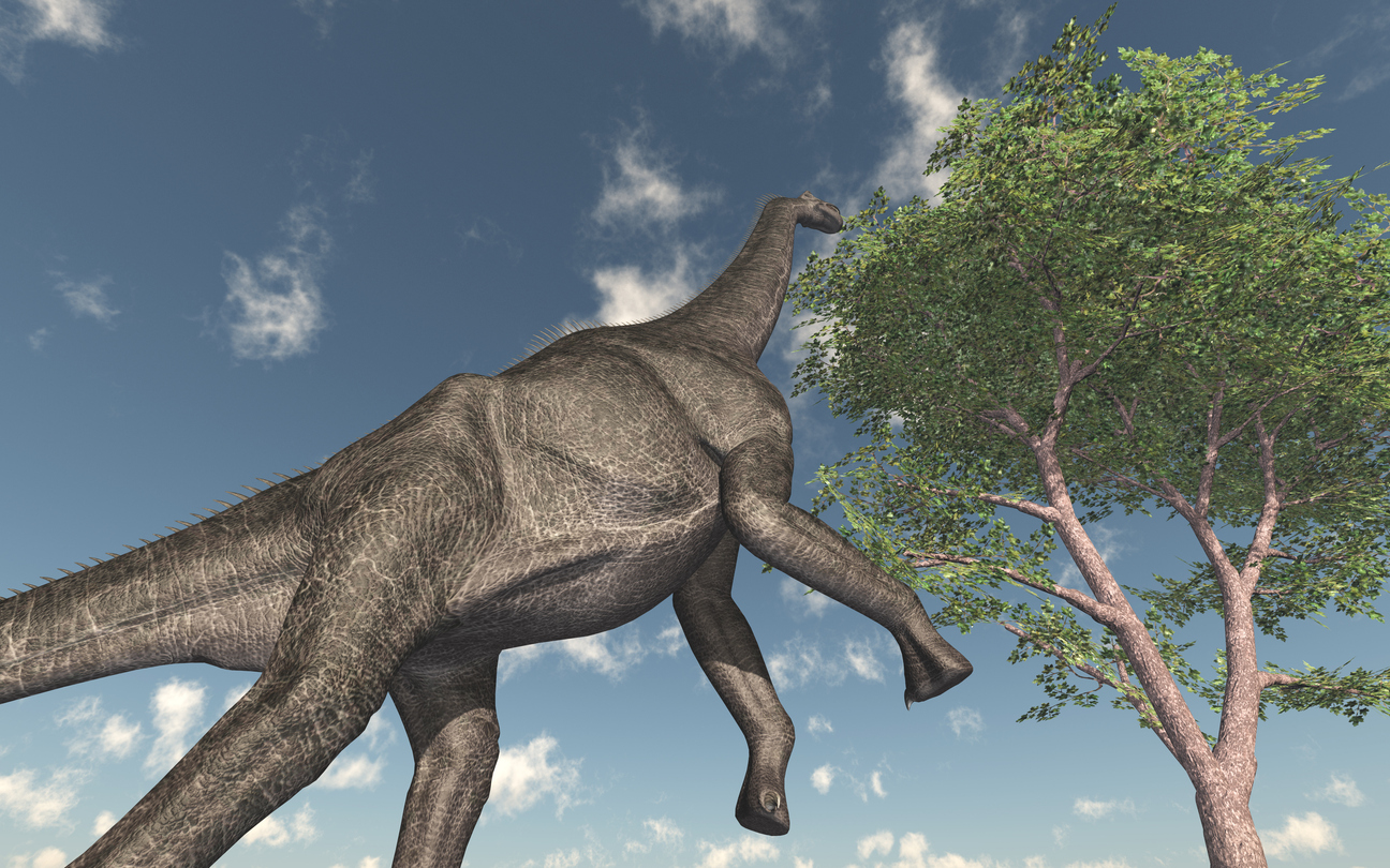 Why Did Plant-Eating Dinosaurs Need Such Massive Bodies Just To Eat ...