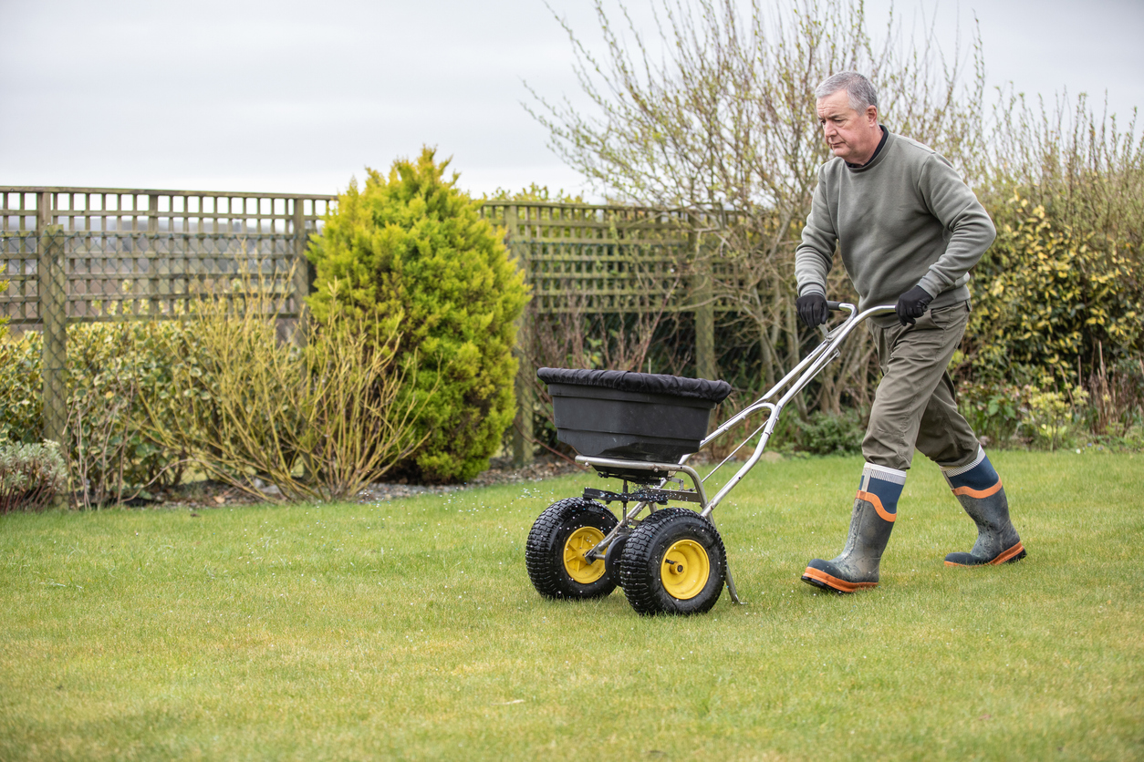 What Is Lawn Sand And How Do You Use It? – The Nature Network