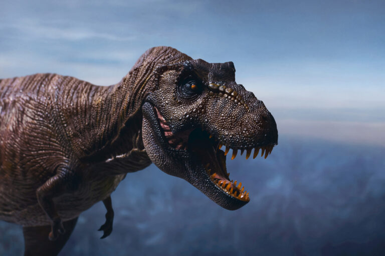 How Did Tyrannosaurus Rex Use Its Arms? – The Nature Network