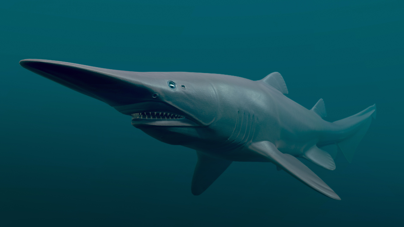 Some Of The Weirdest Fish In The World – The Nature Network