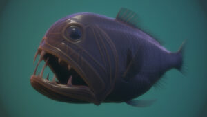 Some Of The Weirdest Fish In The World – The Nature Network