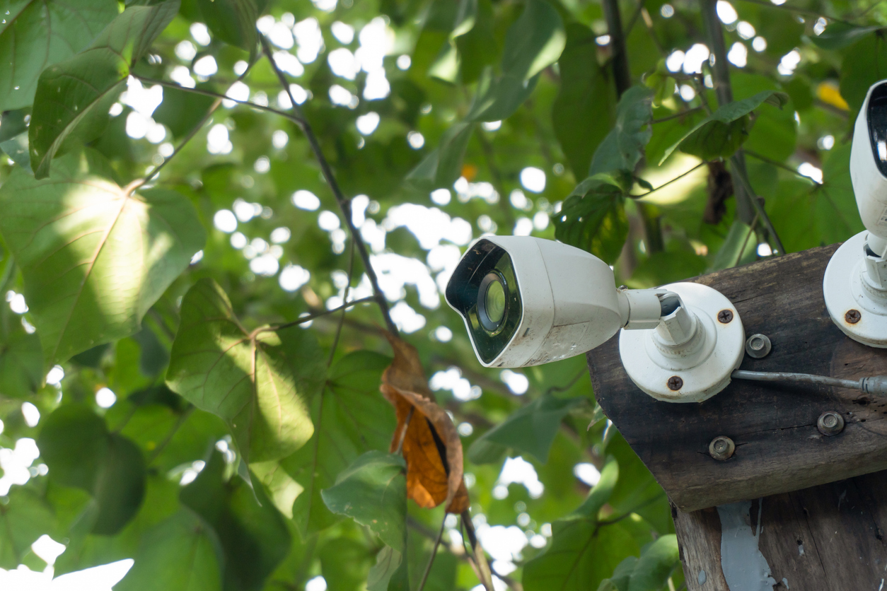 How Your Garden Cameras Could Get You In Legal Trouble – The Nature Network