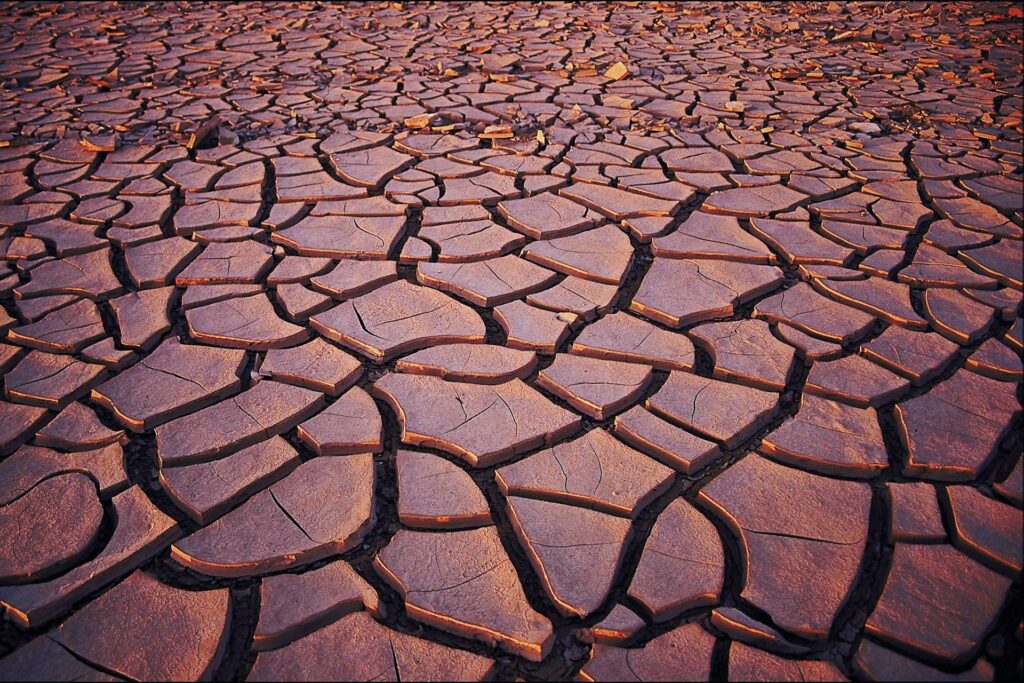 What Will Earth Look Like in 5 Billion Years? – The Nature Network