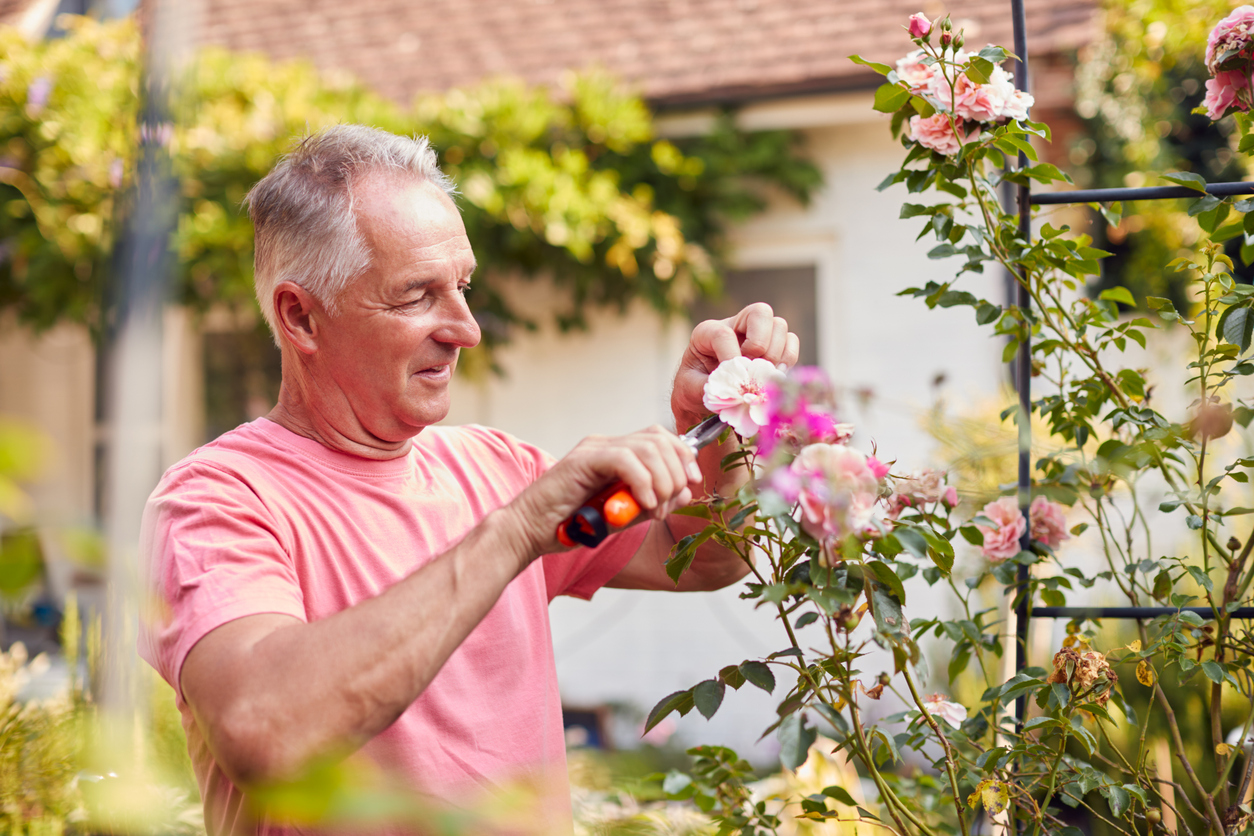 How and When to Lift and Move Established Shrubs or Plants – The Nature ...