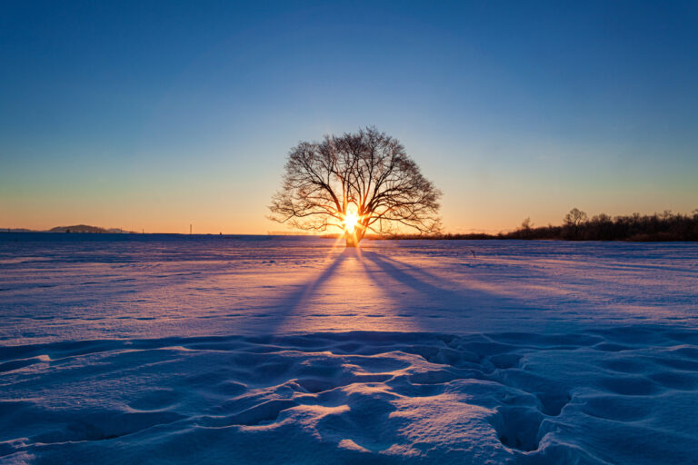 What Actually Happens During the December Solstice (and Why It Matters ...