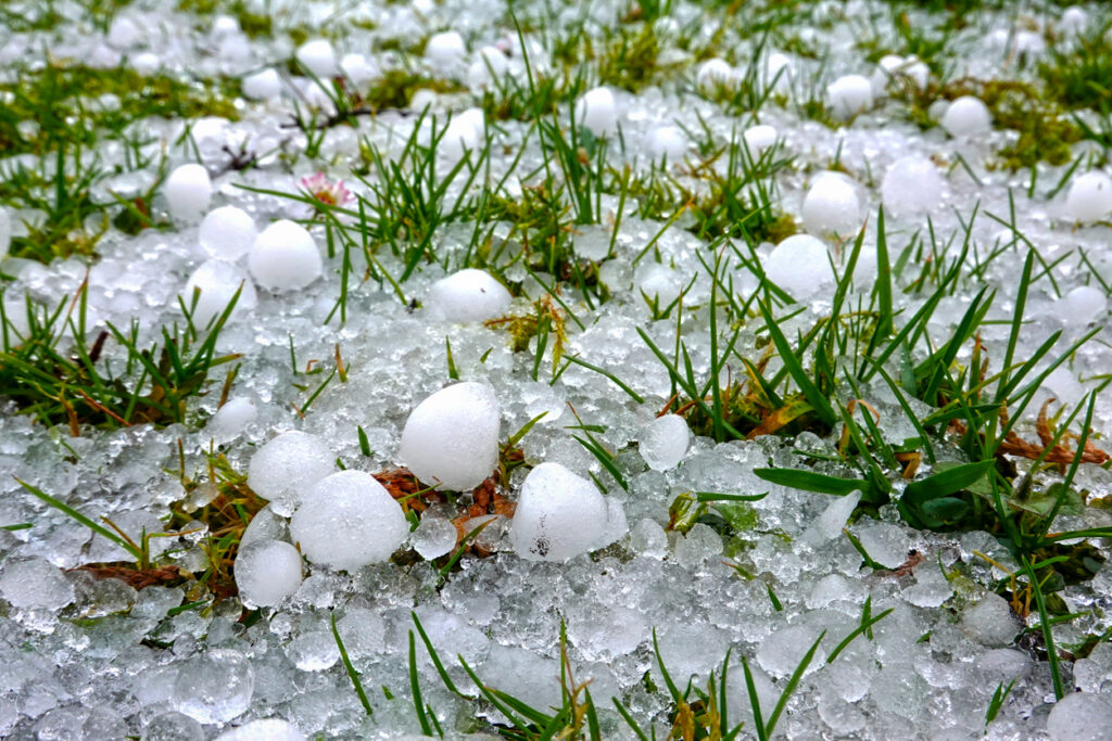 Why Hailstones Are More Dangerous Than You Think – The Nature Network