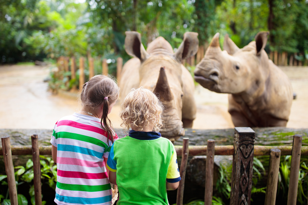 Should Zoos Cease to Exist? 10 Things to Seriously Consider – The ...
